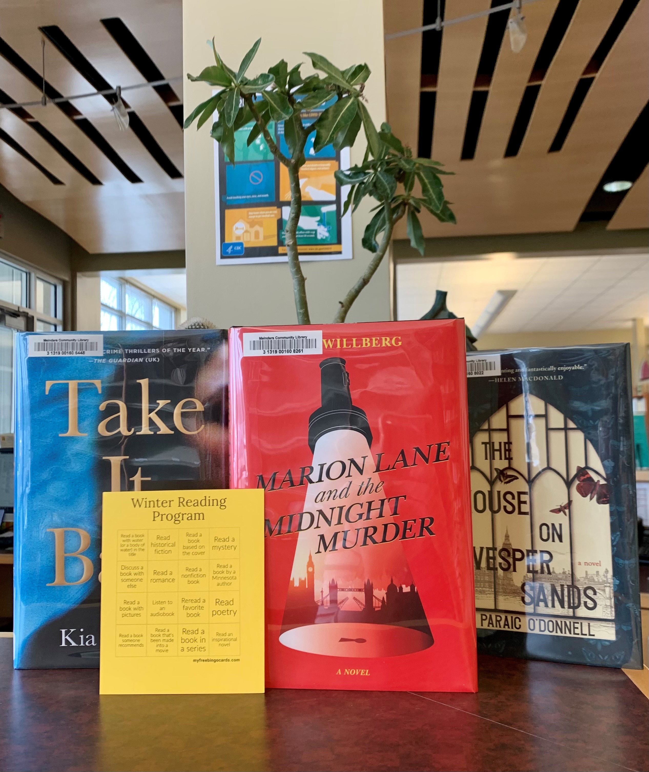 Winter Reading Bingo: Read a Mystery – Meinders Community Library